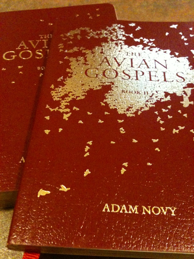 I Review The Avian Gospels, Adam Novy’s Dystopian Novel About Family ...