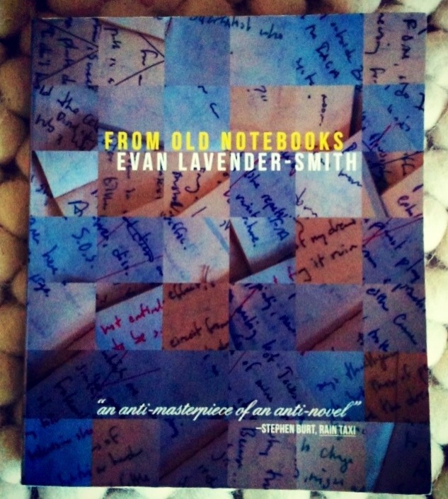 I Anti-Review Evan Lavender-Smith’s Anti-Novel, From Old Notebooks ...