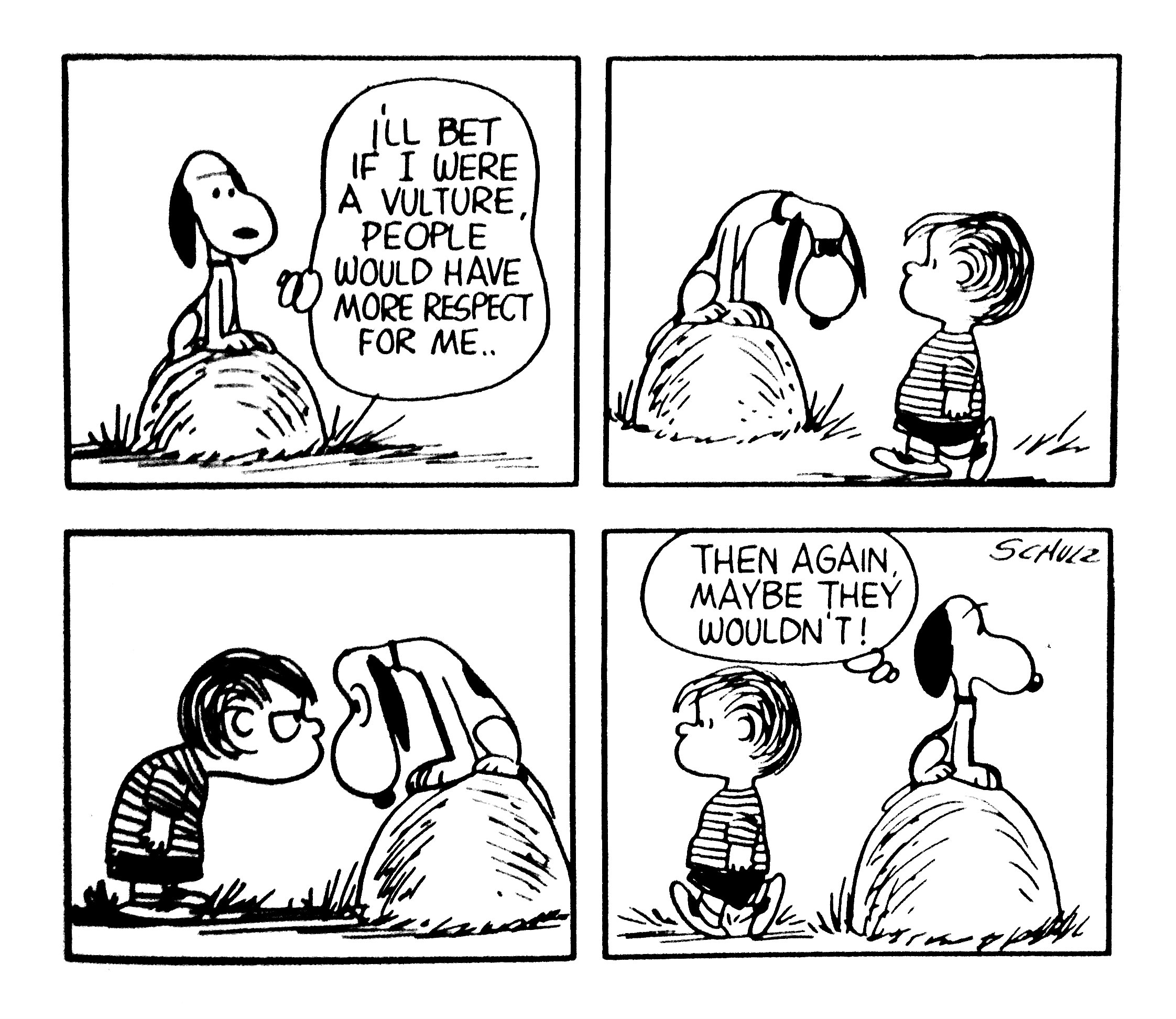 Vulture (Peanuts) – Biblioklept