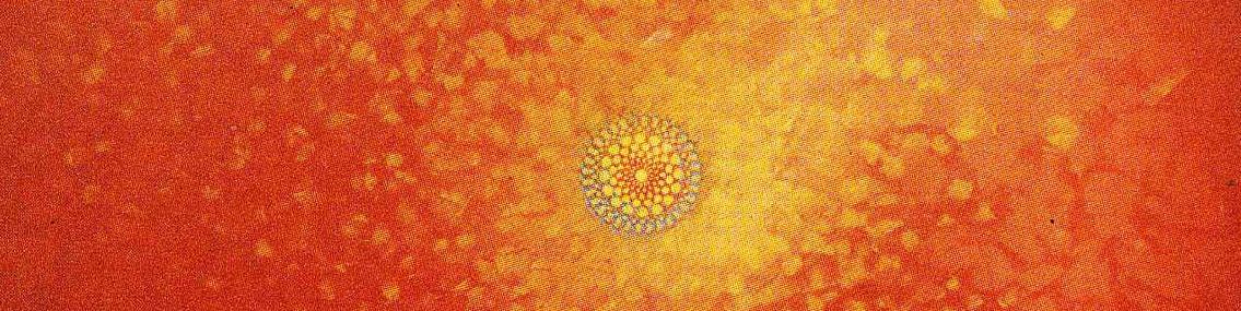 December 2013 – Biblioklept