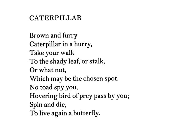 “Caterpillar” — Christina Rossetti – Biblioklept