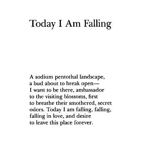 “Today I Am Falling” — James Tate – Biblioklept