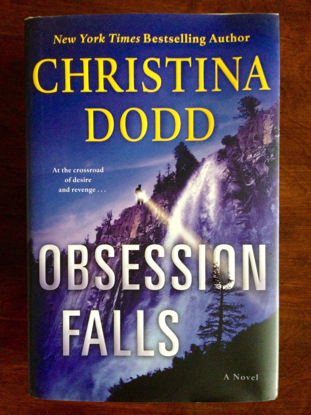 Obsession Falls (Book acquired, some time in August, 2015) – Biblioklept