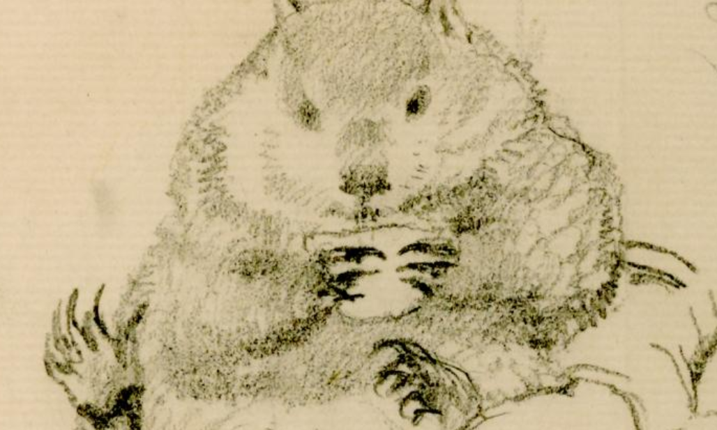 Dante Gabriel Rossetti – Biblioklept