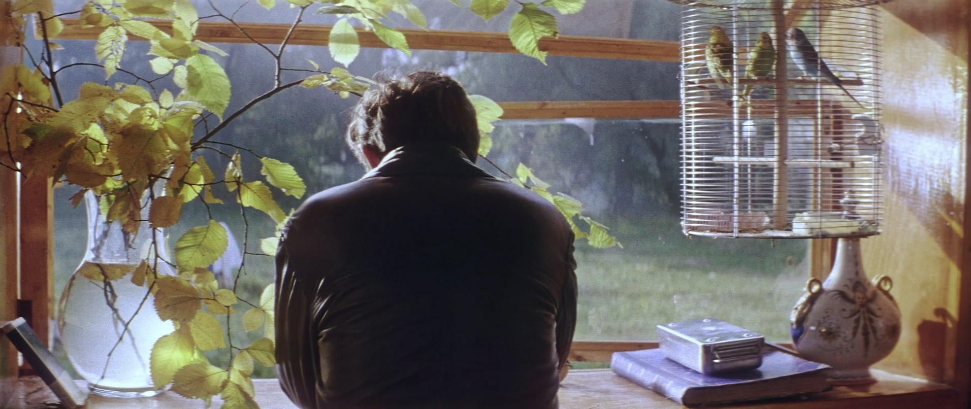Nineteen still frames from Tarkovsky’s Solaris – Biblioklept