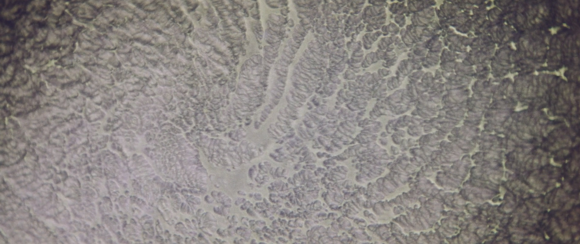 Nineteen still frames from Tarkovsky’s Solaris – Biblioklept