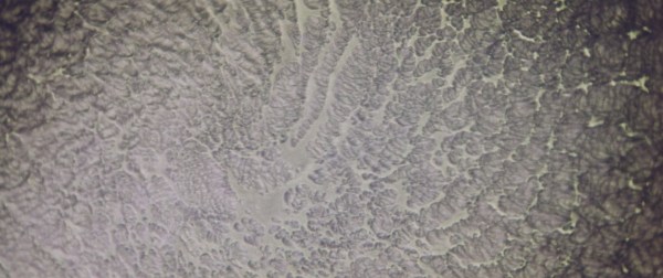 Nineteen still frames from Tarkovsky’s Solaris – Biblioklept