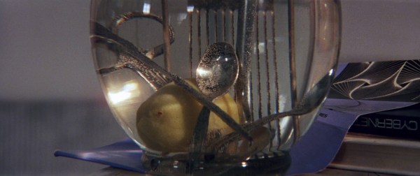 Nineteen still frames from Tarkovsky’s Solaris – Biblioklept