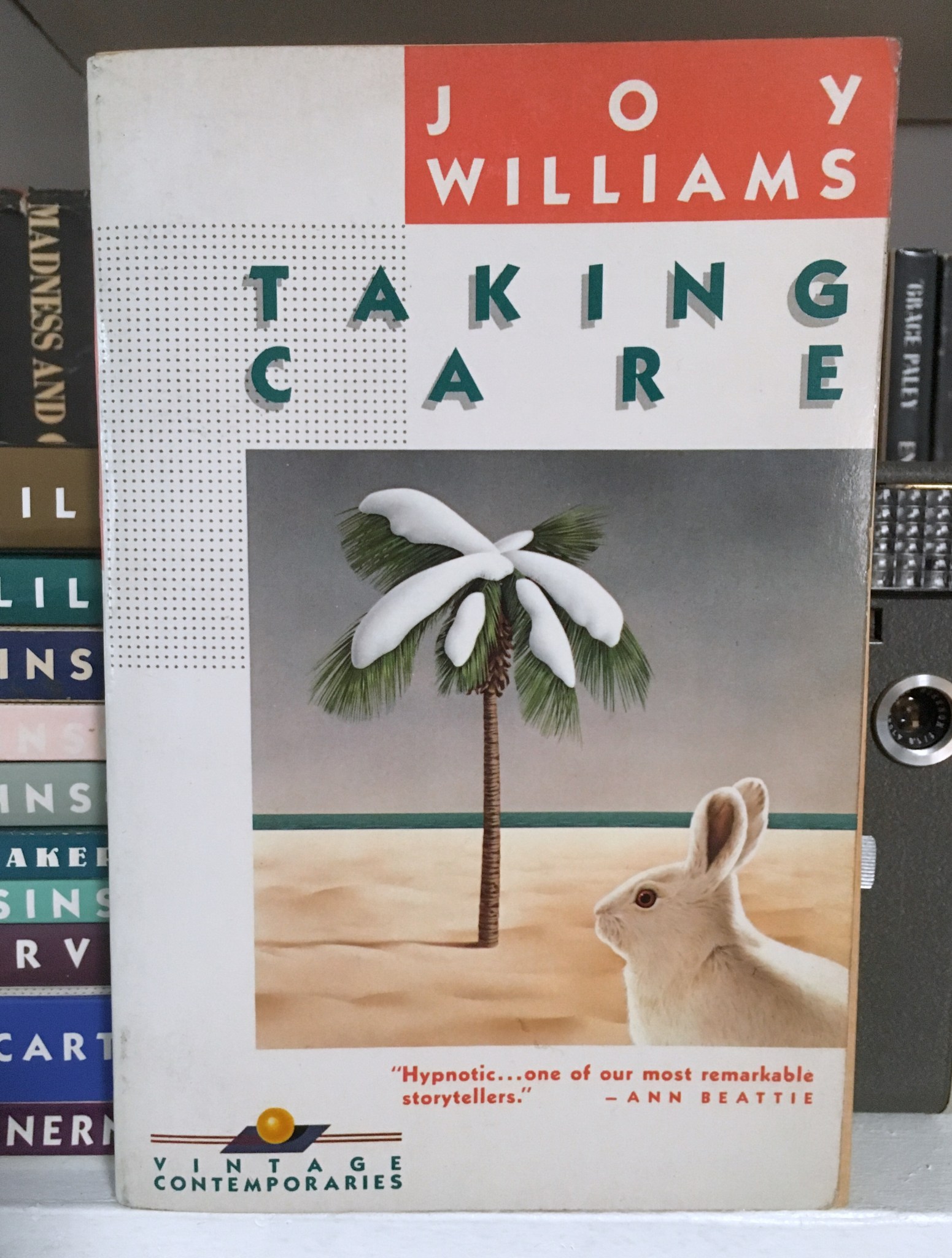 A review of Taking Care, Joy Williams’ debut short story collection ...
