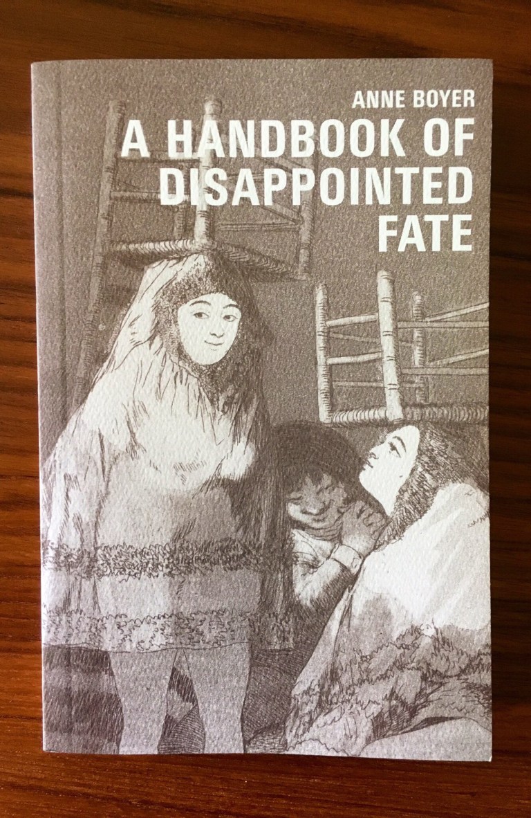 Anne Boyer – Biblioklept