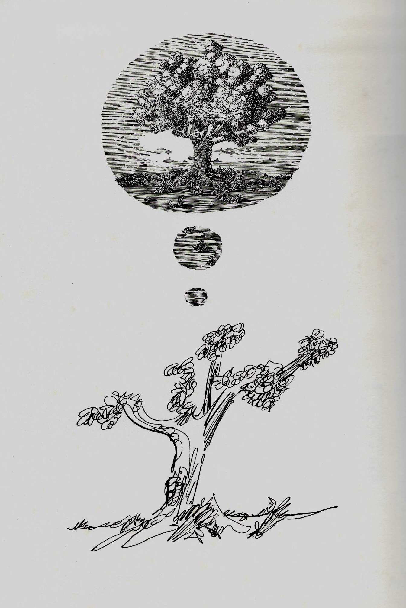 Untitled (Tree) — Hans-Georg Rauch – Biblioklept
