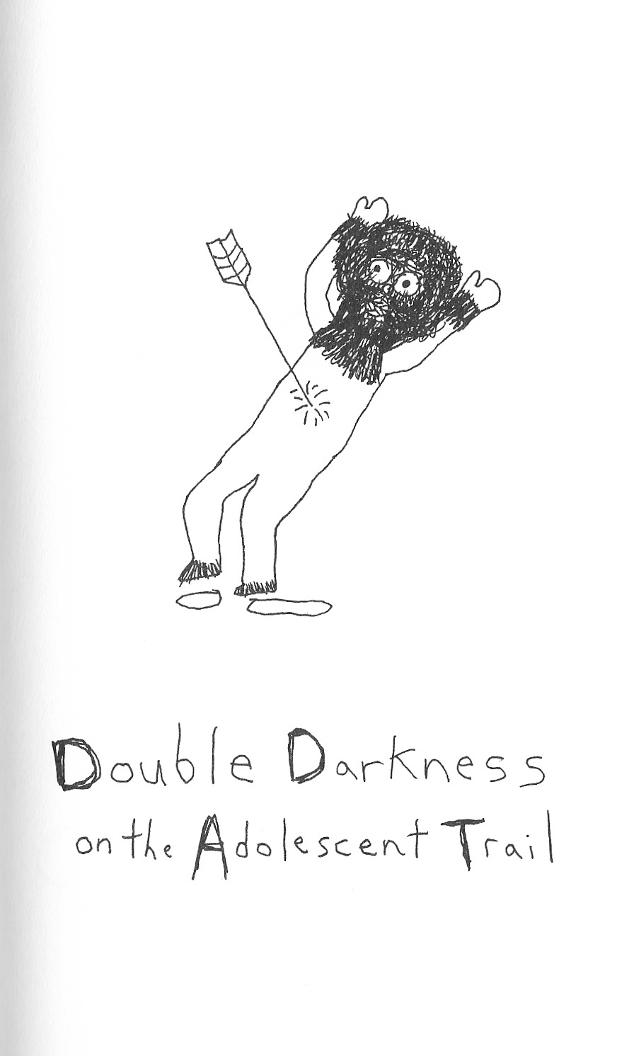 David Berman Artist