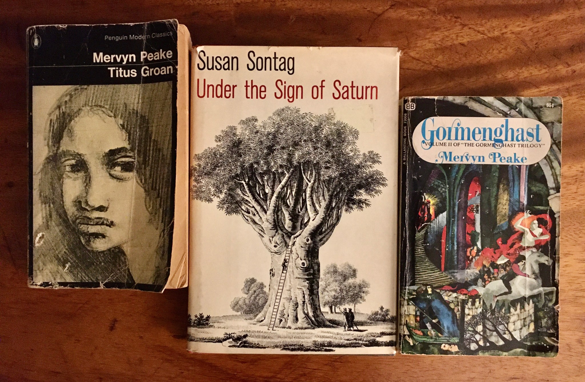 Mervyn Peake/Susan Sontag (Books acquired, 10 Jan. 2020) – Biblioklept