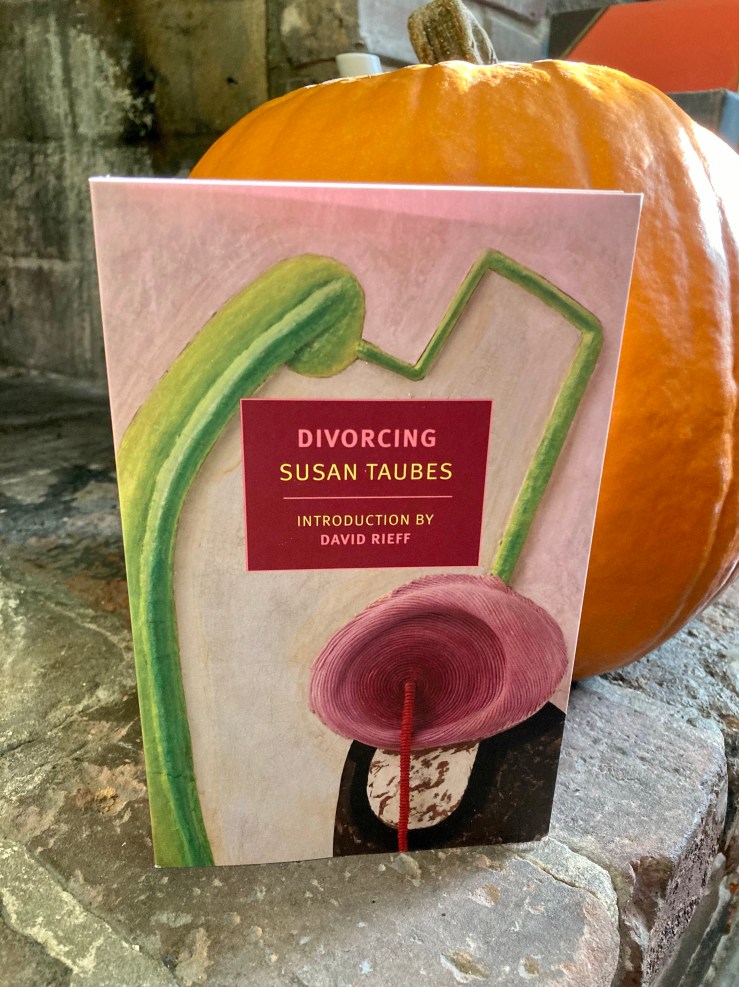 Susan Taubes’s Divorcing (Book acquired, 14 Oct. 2020) – Biblioklept