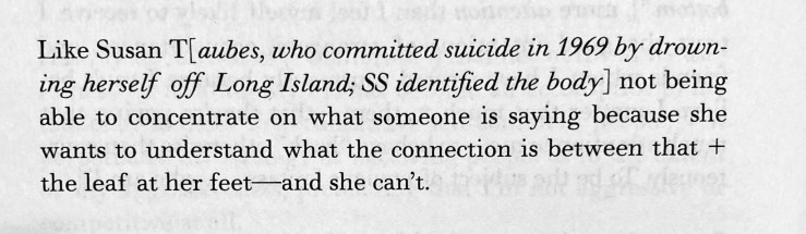 Susan Taubes’s Divorcing (Book acquired, 14 Oct. 2020) – Biblioklept