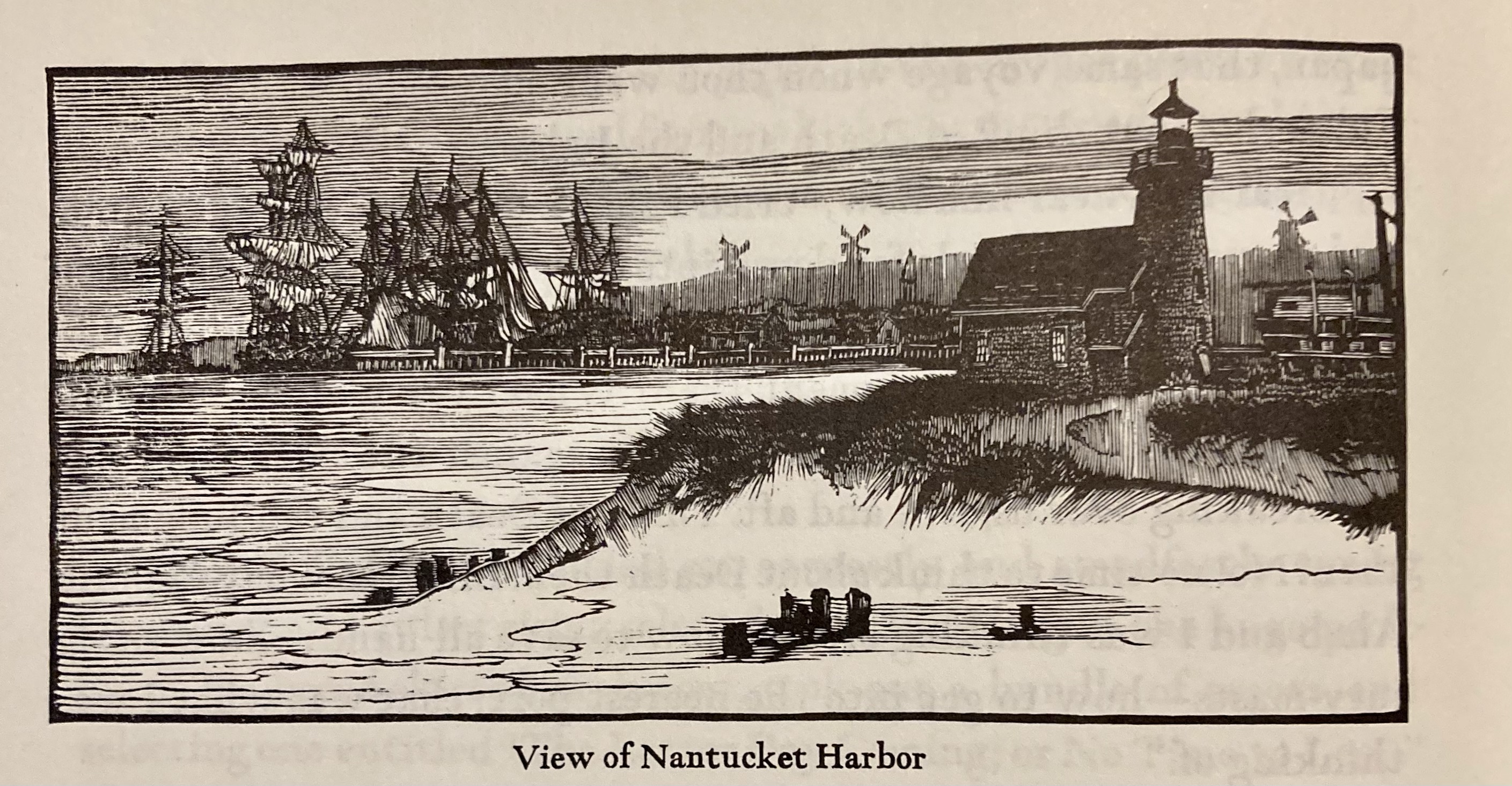 Humbug or bugbear | Riff 6 on rereading Herman Melville’s Moby-Dick ...