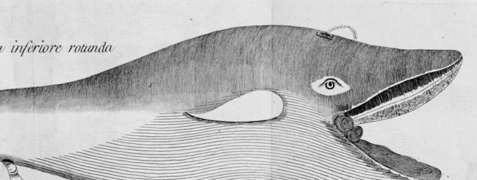 January 27, 2021 – Biblioklept