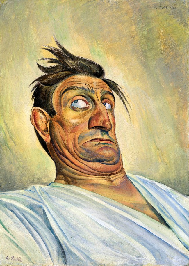 The Acrobat Schulz V — Albert Birkle – Biblioklept