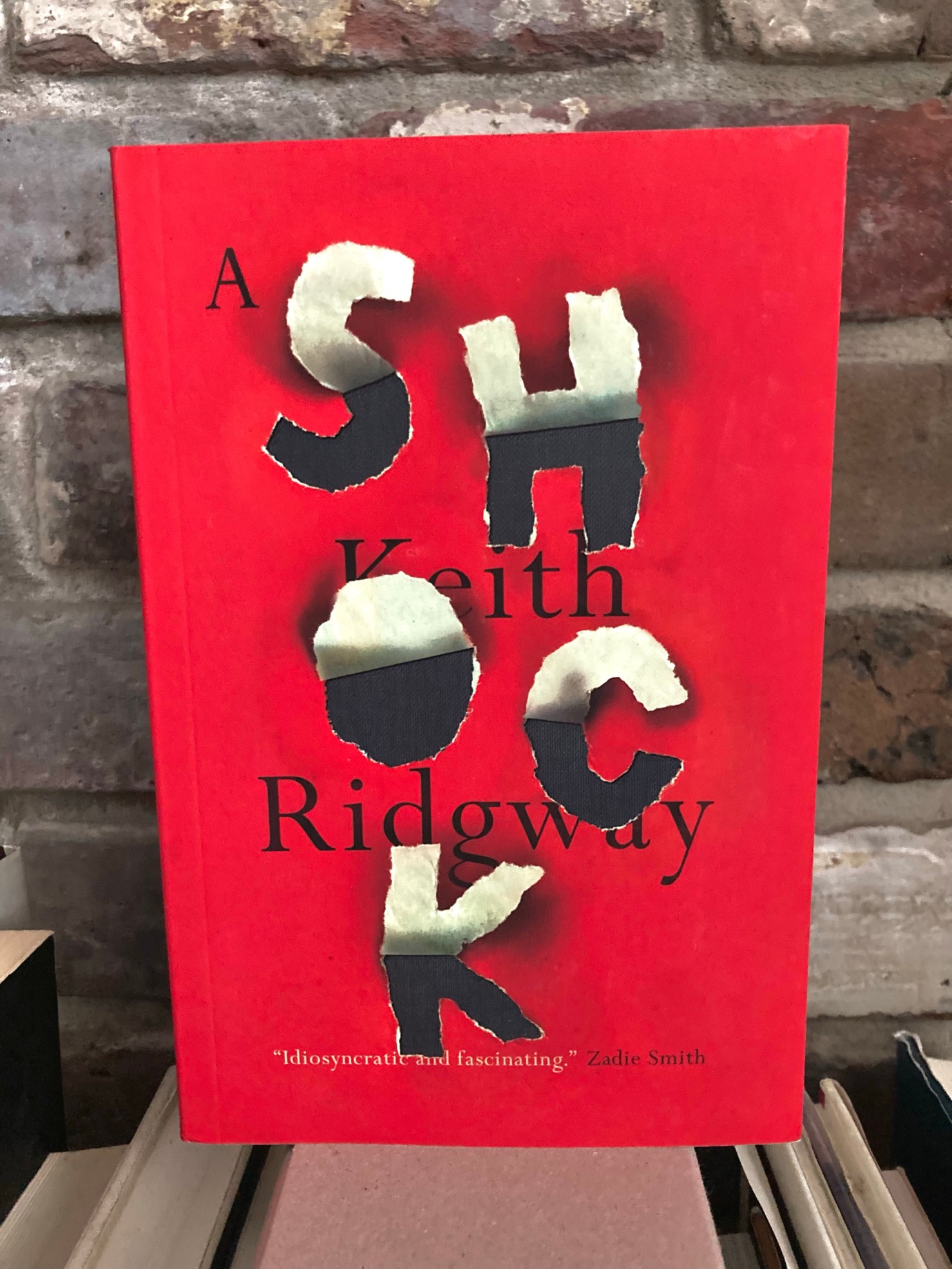 Keith Ridgway’s A Shock (Book acquired, 8 Sept. 2022) – Biblioklept