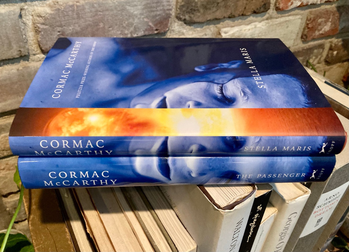 The freed and missing passenger | Joy Williams on Cormac McCarthy’s ...